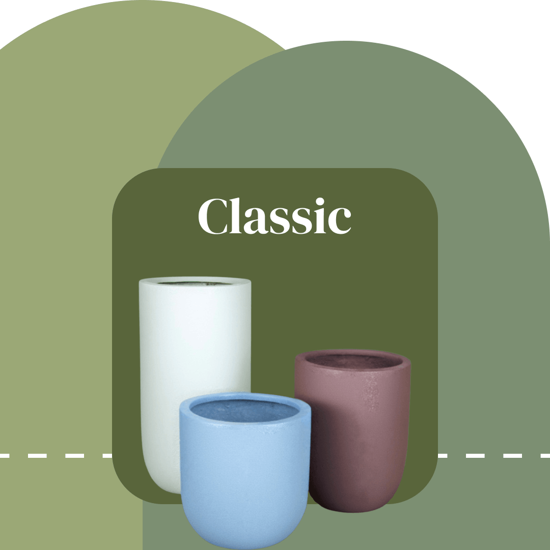 The Classic Collection – My Store