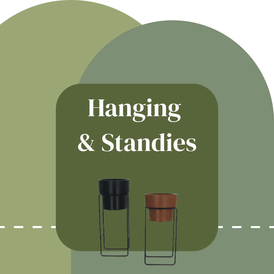 The Hanging & Standies Collection – My Store